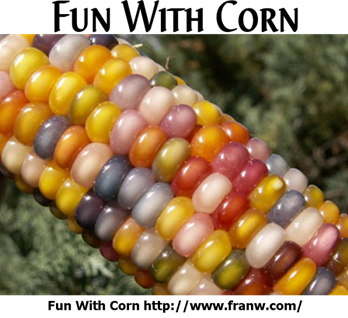 Fun With Corn – FranW.com