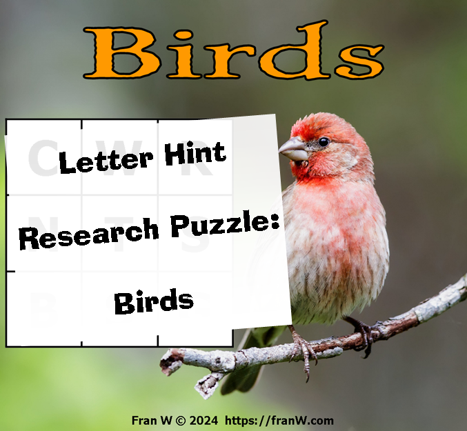 Birds Letter Hint – FranW.com